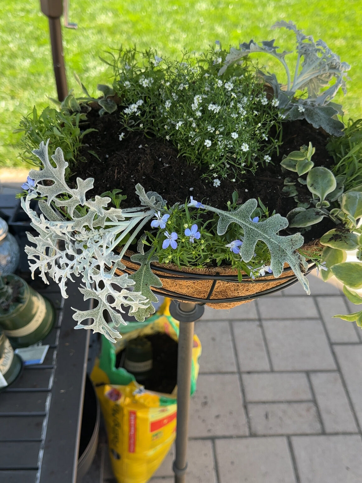 10 Unique Ways to Display Plants and Flowers Using Thrifted Treasures ...
